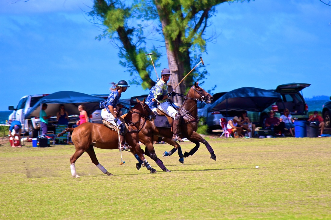 High Goal Polo Comes to North Shore | Hawaii Polo Club